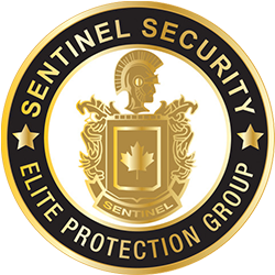 Agent Login | Sentinel Security Plus