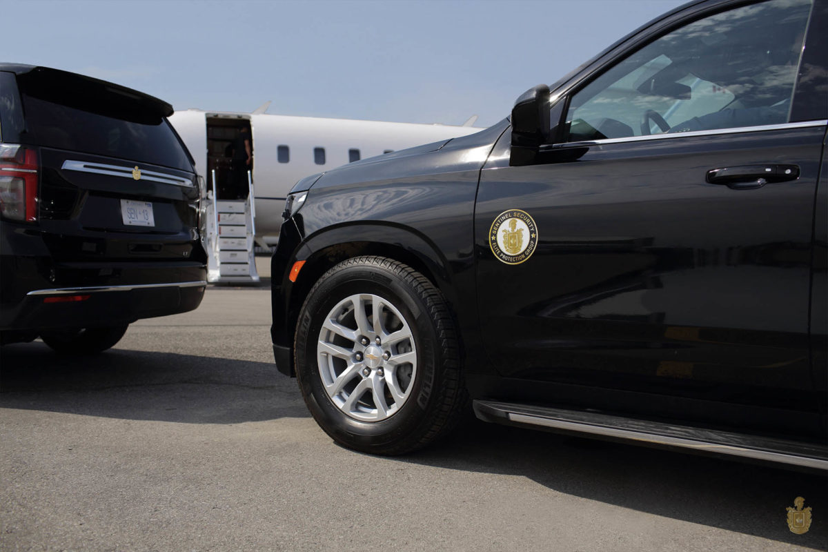 Air Transport Security | Aviation Protection Security Services ...