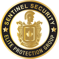 Agent Login - Sentinel Security Plus